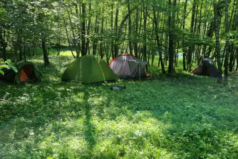 »Dražje« kampiranje na črno